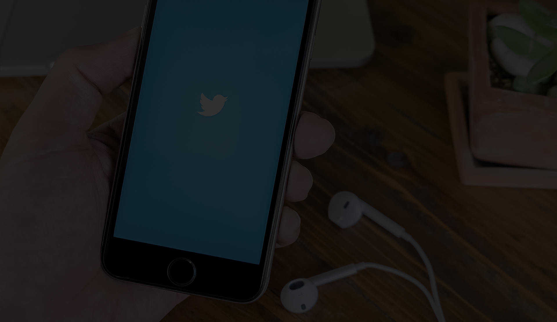 Amazing Twitter Advertising Services Company in Doha, Qatar ...